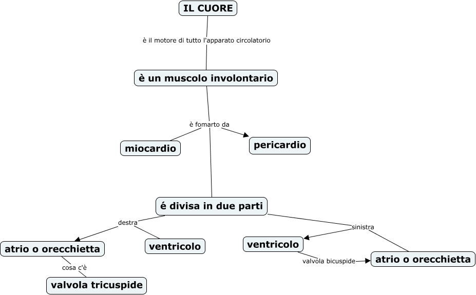 mappa concettuale cuore.cmap